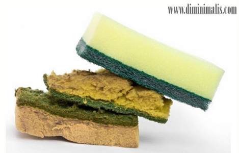 4 Tips Ampuh Basmi Kuman di Spons dan Wastafel - Ndekor